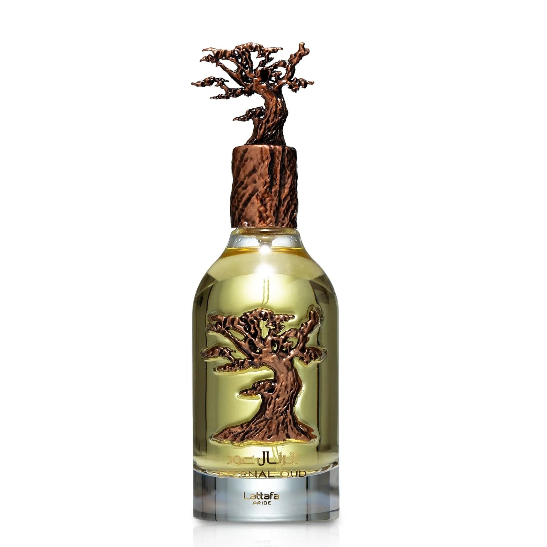 Lattafa Eternal Oud EDP 100ML Perfume - Shop in Mauritius at Maulux ...